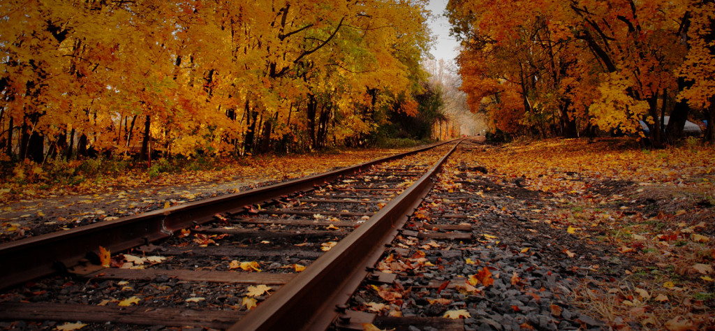 TrainTracks | Light of the World